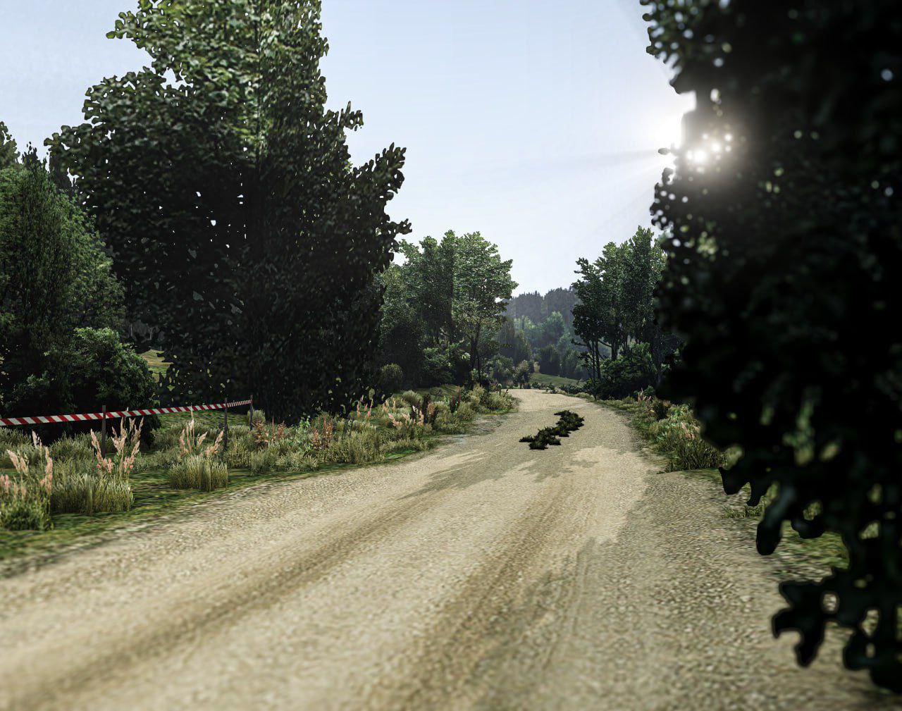 Kormoran, PL (Rally) (0.34.x) - BeamNG.drive Maps - BeamNG.drive - Mods ...