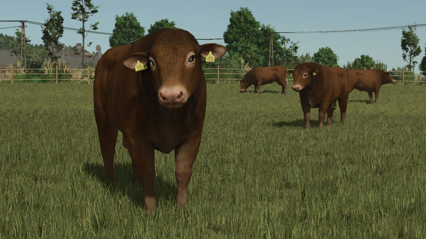 Animal Package Vanilla Edition FS25 v1.0.0.0 (1.11.x) - FS 25 Others ...