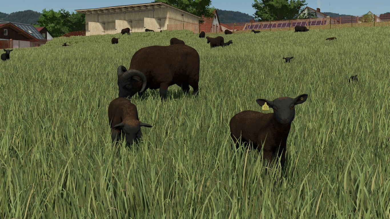 Animal Package Vanilla Edition FS25 v1.0.0.0 (1.11.x) - FS 25 Others ...