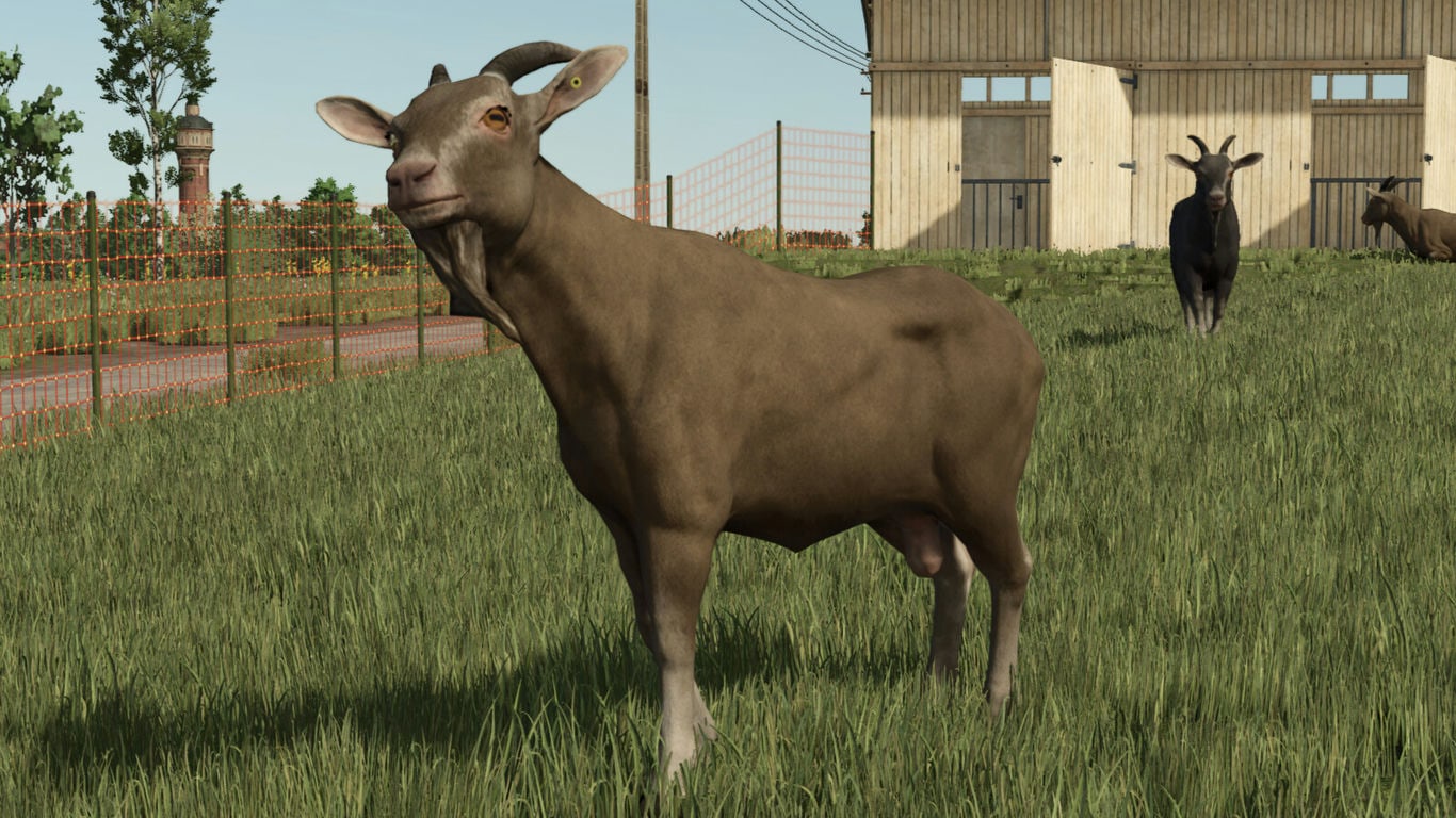 Animal Package Vanilla Edition FS25 v1.0.0.0 (1.11.x) - FS 25 Others ...
